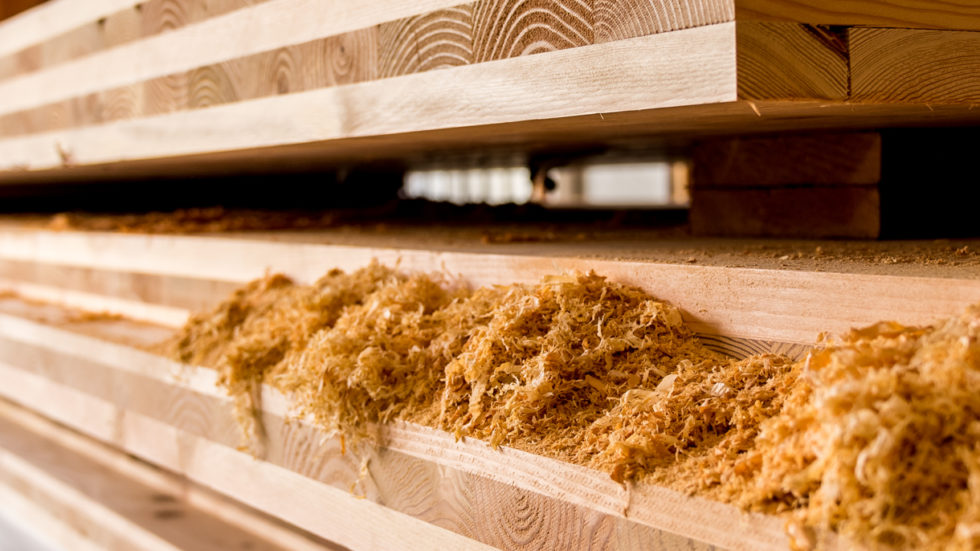 What is Mass Timber - The Promise of Mass Timber